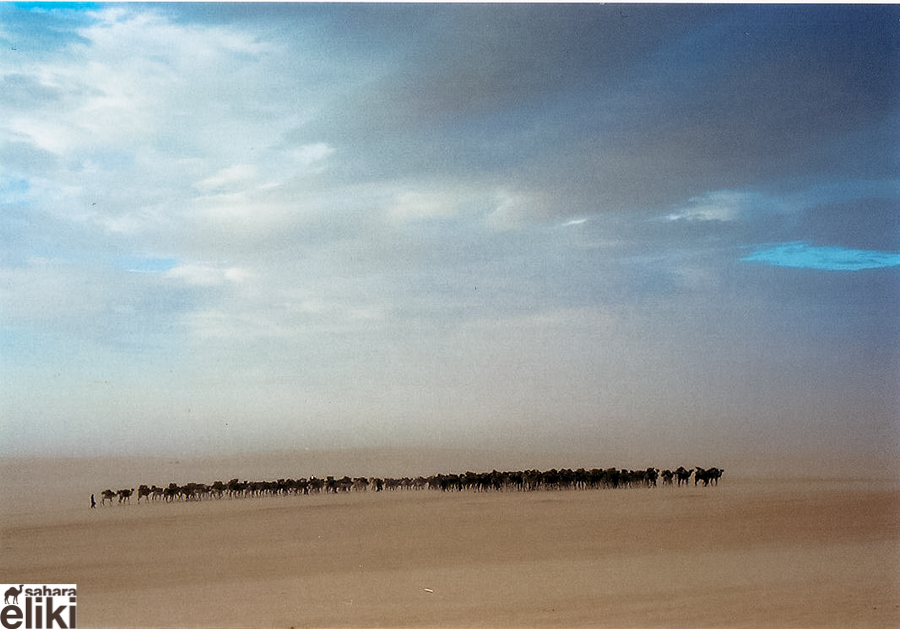 Concept – Sahara-Eliki サハラ・エリキ