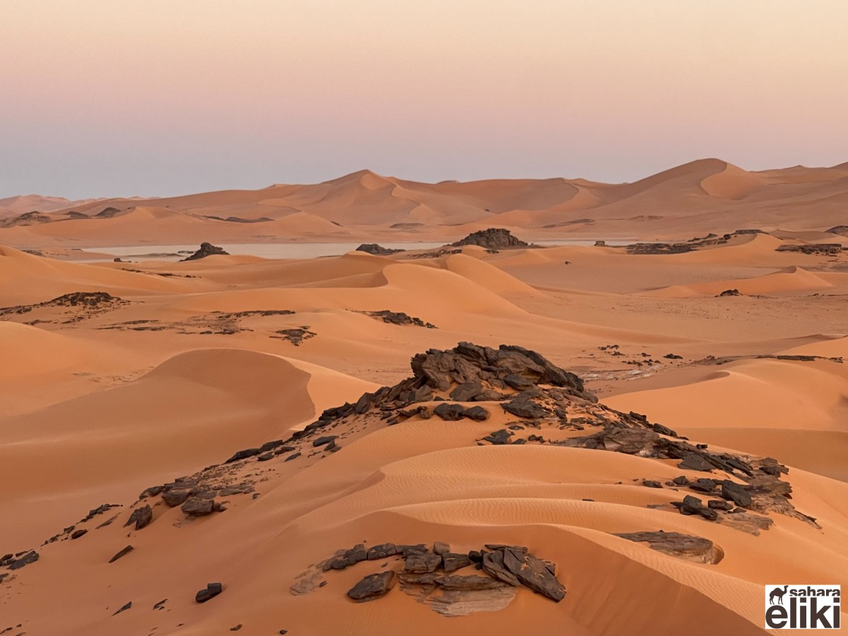 サハラエリキ会！ – Sahara-Eliki サハラ・エリキ